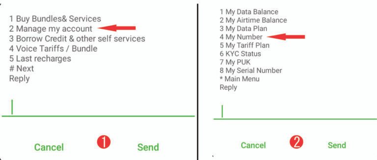 How To Check My Airtel Number Through SMS (Updated 2025) | AtlanticRide